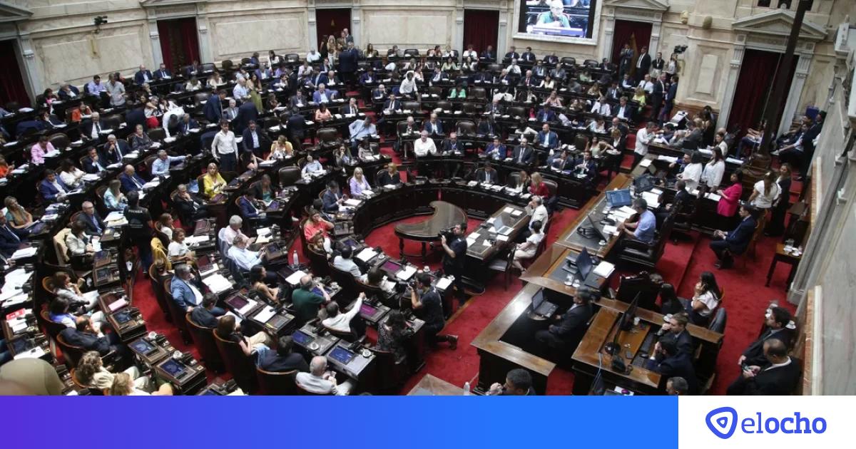 Diputados Retoma El Debate De La Ley Ómnibus El Oficialismo Espera Su 2699